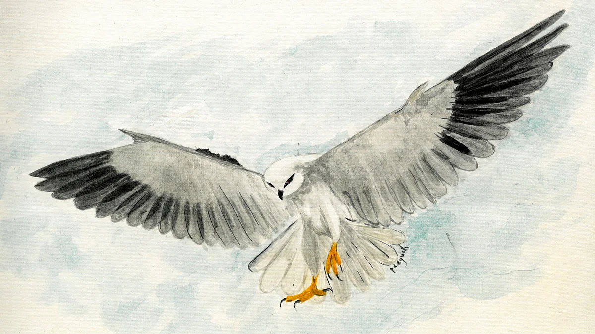 No blue skies, too few Neelkanths—another canary in India’s coal mine?