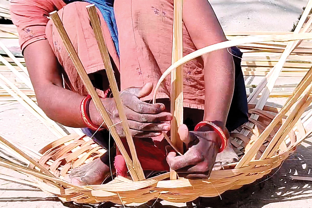 Assam's vanishing basket makers