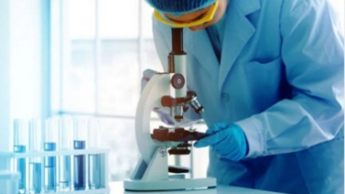 Mpox: What it is, and why India needs to be careful