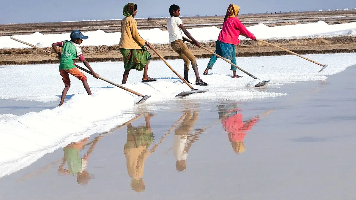 Maharashtra: Salt pans to convents, the long arm of the Adani Group