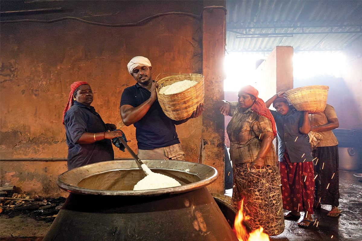 Biryani Amma’s magic touch