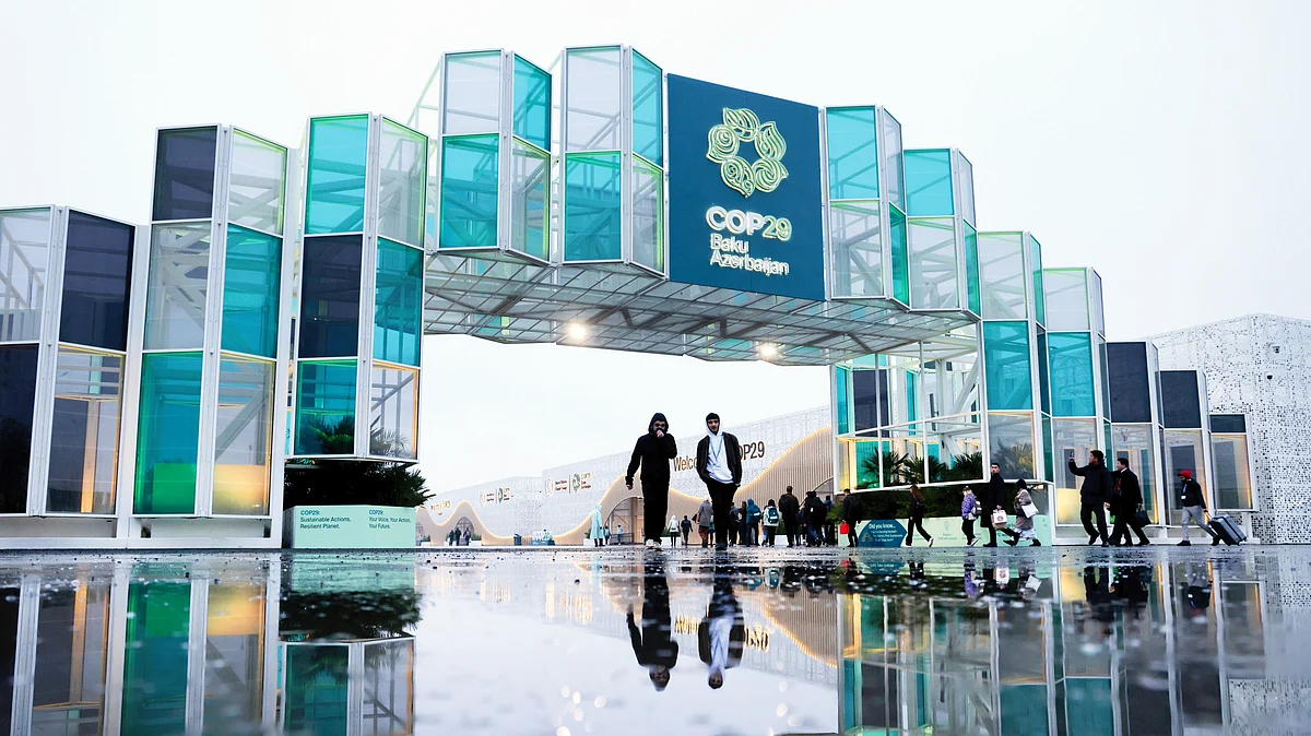 COP29 and the climate crisis: greed versus need