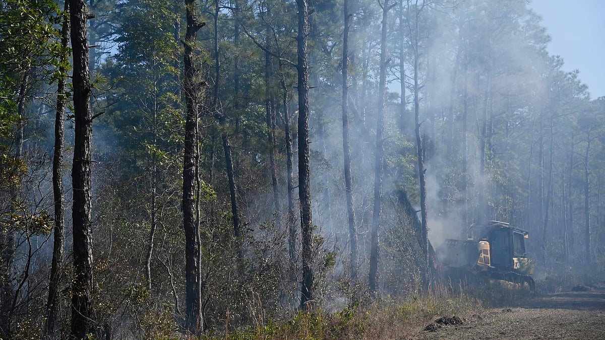 US: Woman arrested for allegedly sparking massive wildfire in S. Carolina