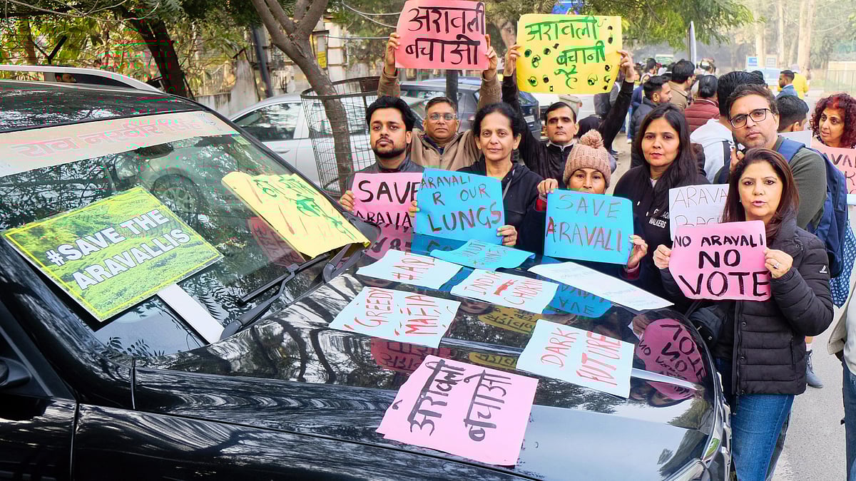 Mining, malls and safaris: the many battles over the Aravalli hills