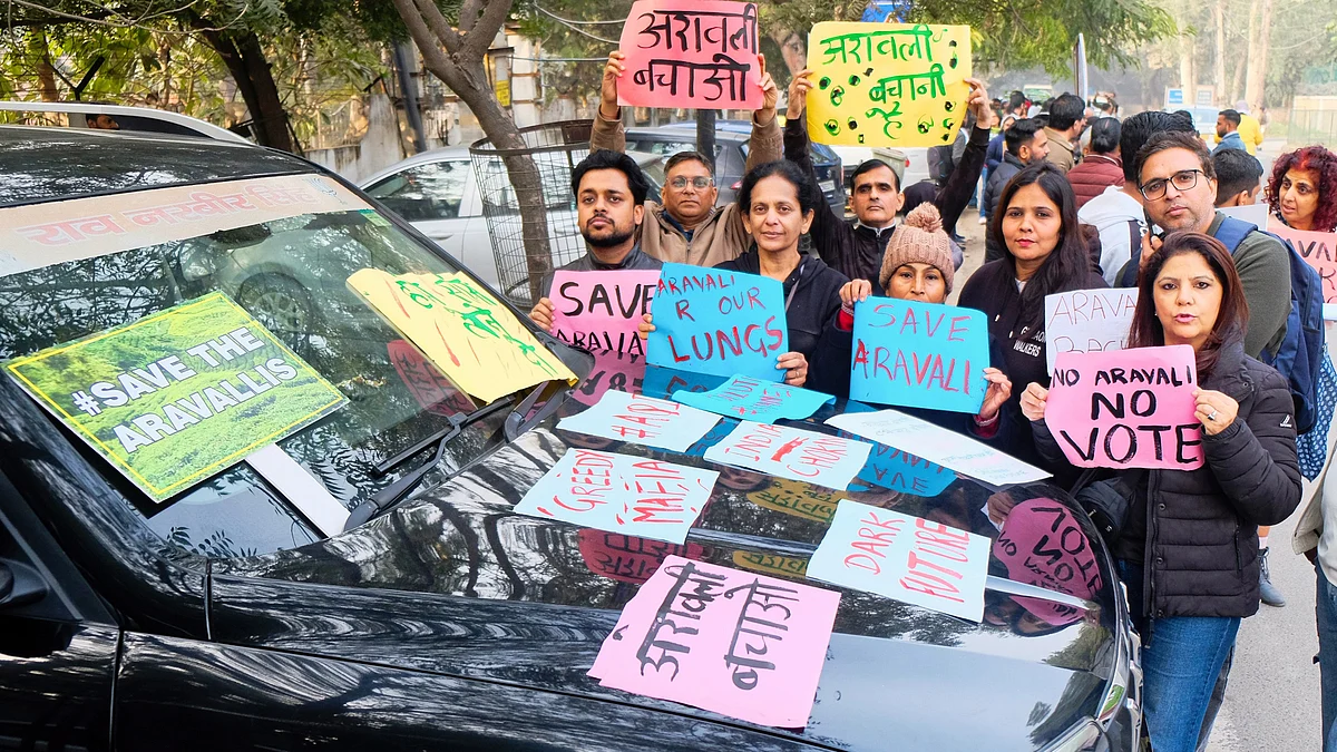 Mining, malls and safaris: the many battles over the Aravalli hills