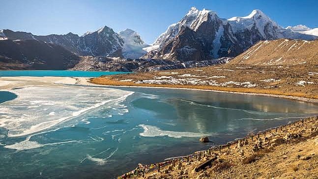 New springtail species discovered in Sikkim’s high-altitude ecosystems