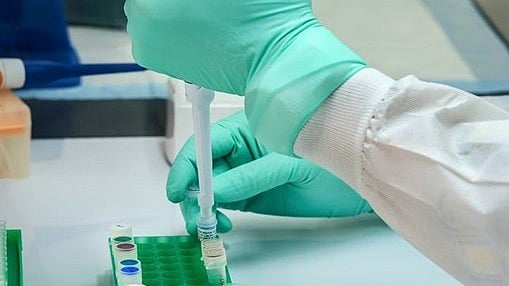 Vesugen: A Tripeptide Bioregulator at the Intersection of Vascular ...