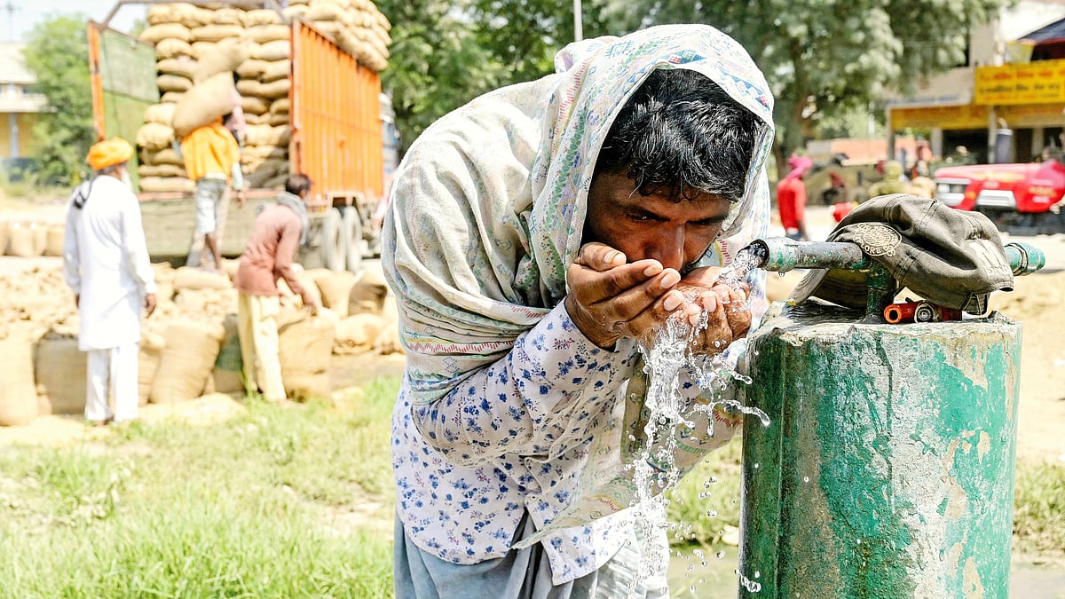 Disease on tap, government in denial