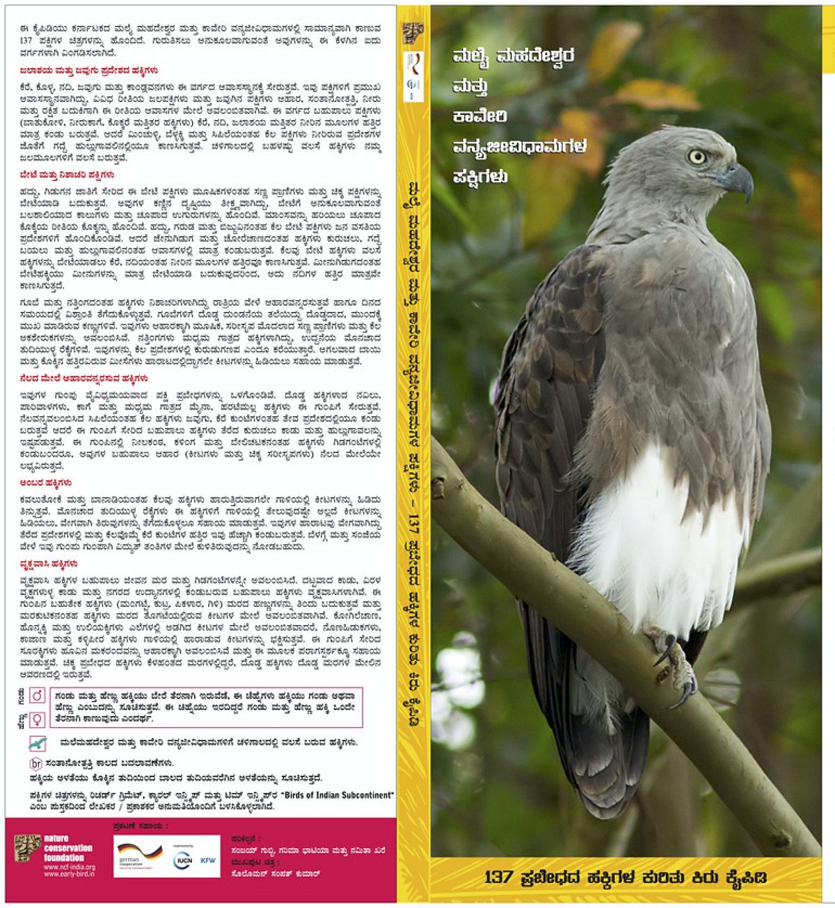 Common birds of Malai Mahadeshwara and Cauvery Wildlife Sanctuaries - A ...