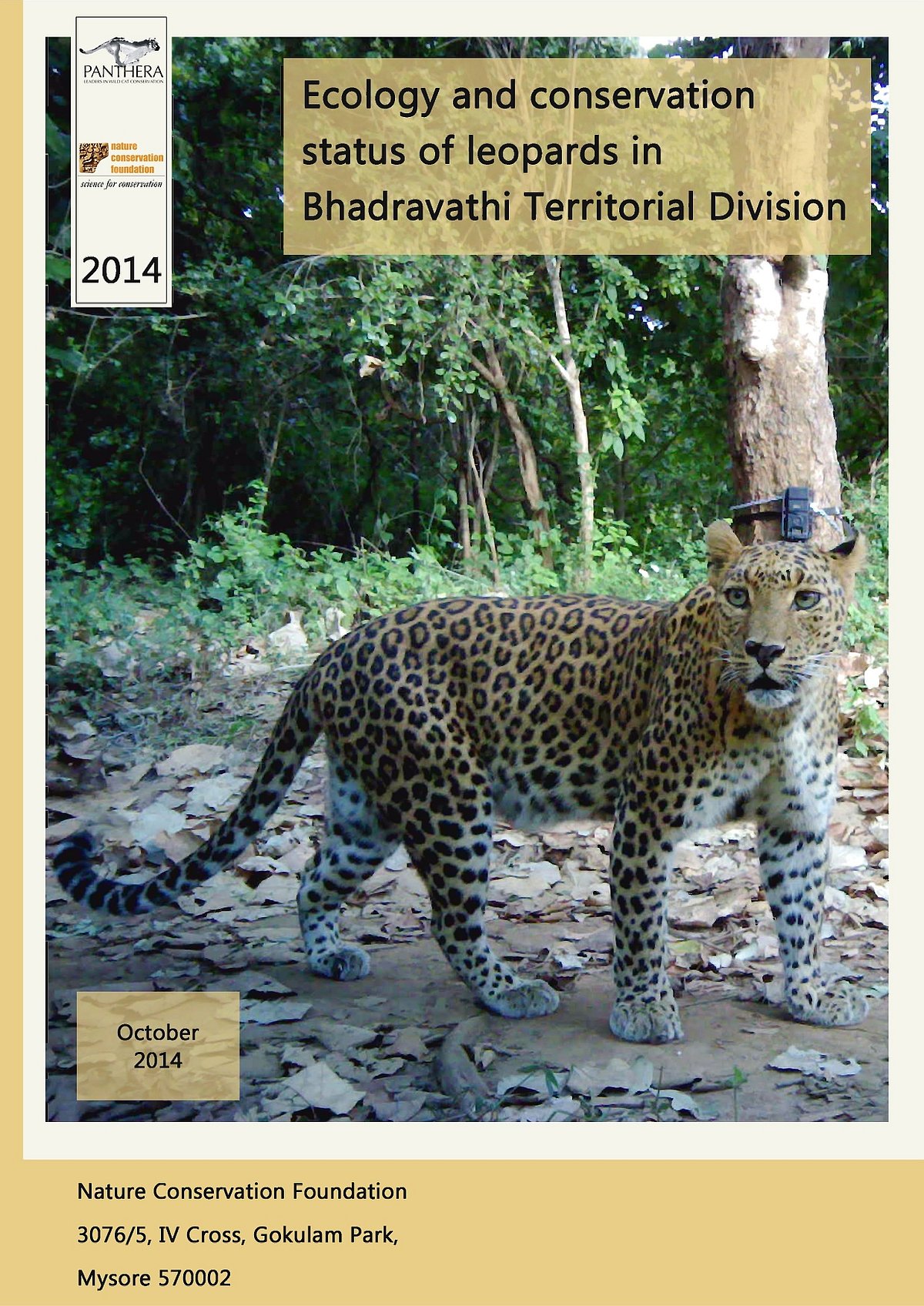 Ecology and conservation status of leopards in Bhadravathi Territorial ...