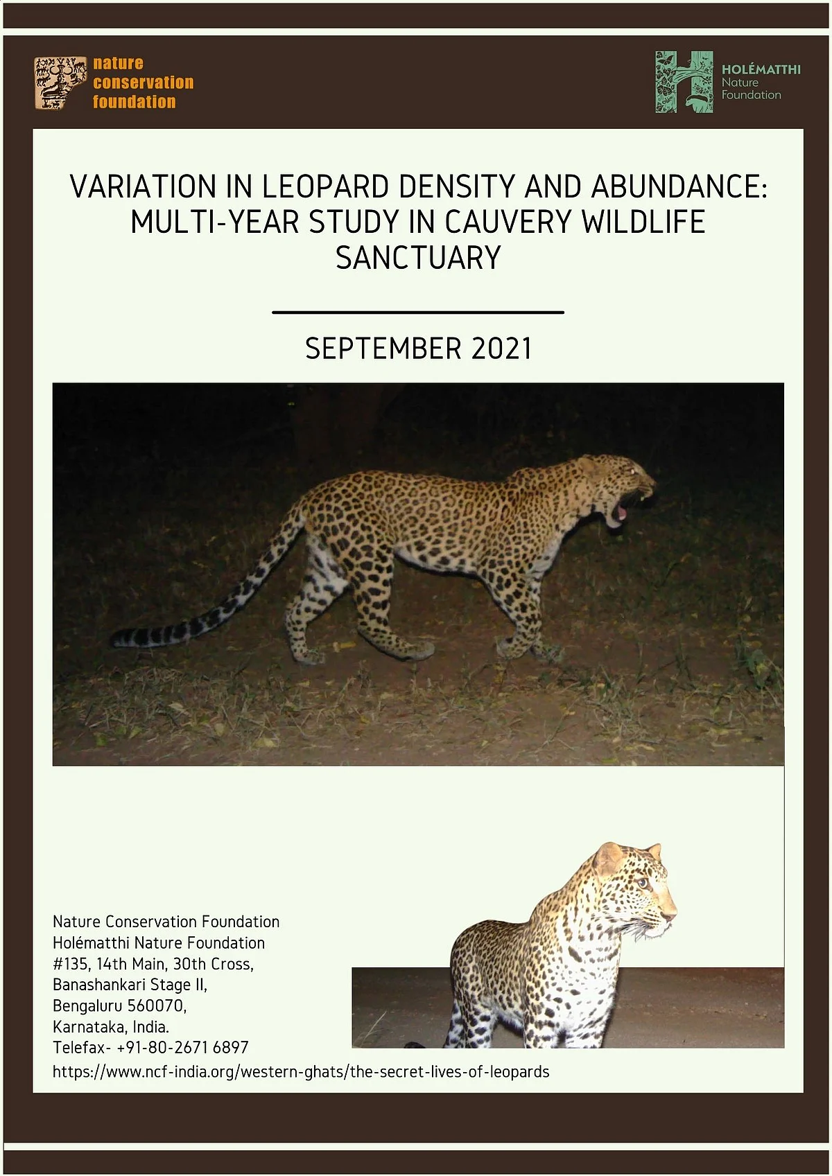 The secret lives of leopards