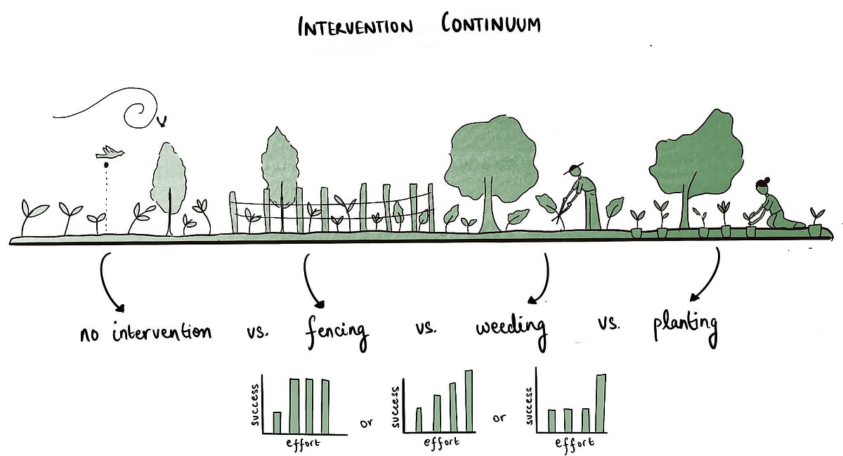 Beyond the passive–active dichotomy: aligning research with the ...