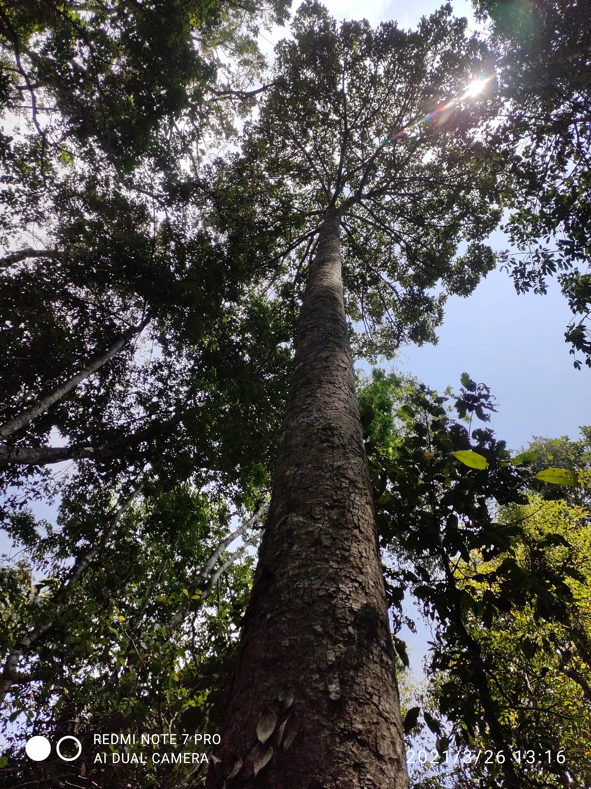 Nature Conservation Foundation