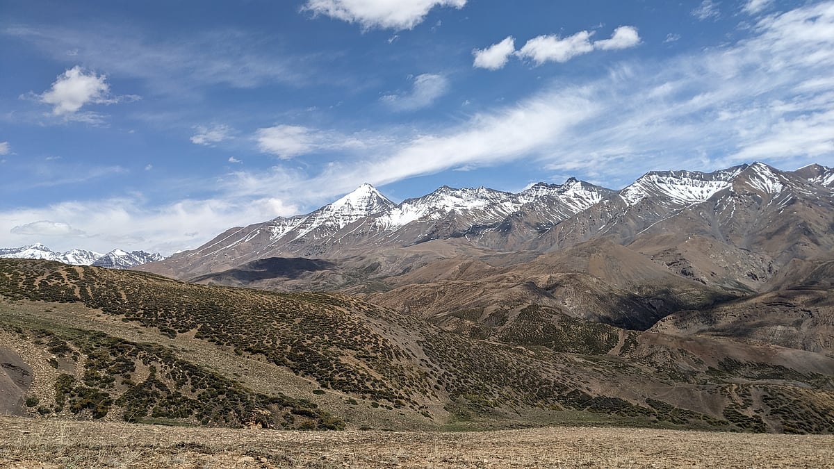 Grazing Free Reserves