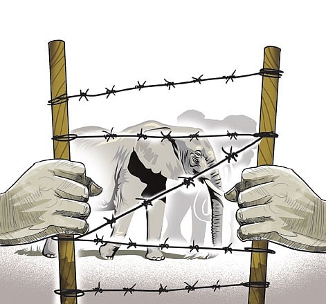 30-km trench to be built in Anthiyur forest to prevent elephant ...