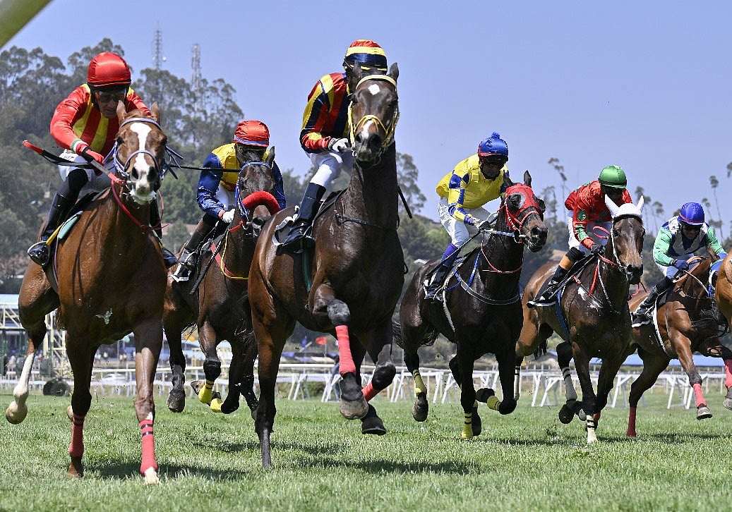 Horse racing season starts in Ooty