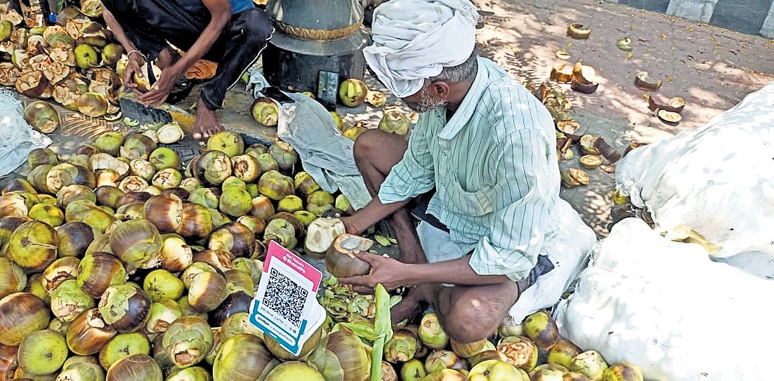 Ice apple sales surge amid heatwave in Telangana's Karimnagar