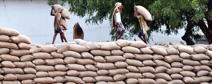 Odisha govt seeks cooperation of rice millers in paddy procurement
