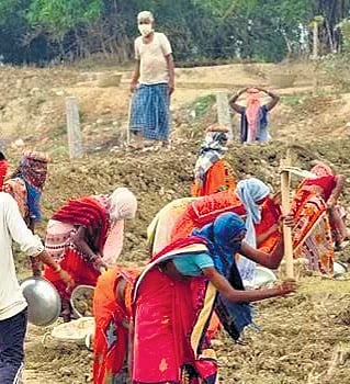 Rural distress: Bihar, UP used less NREGA funds than states with lower ...