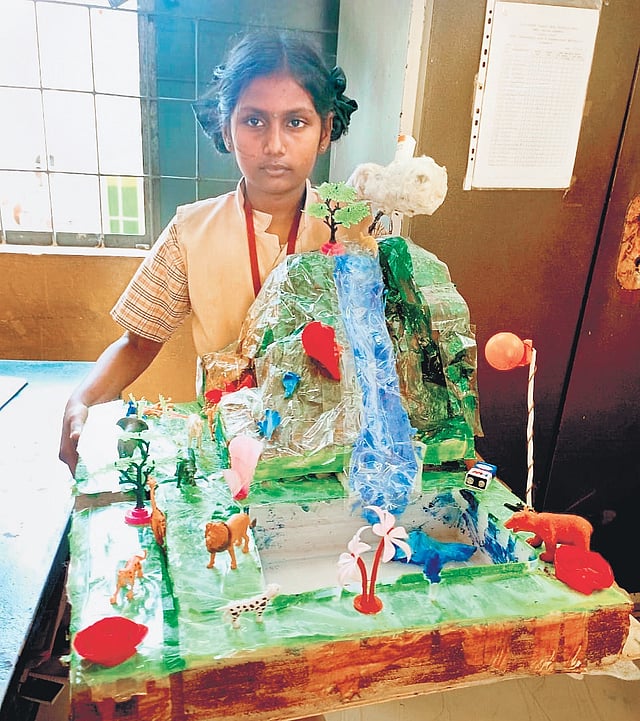 Celebrating creative classrooms