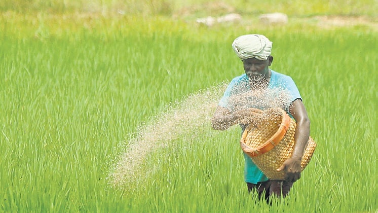 Farmers in Ariyalur and Perambalur demand permanent paddy purchase ...