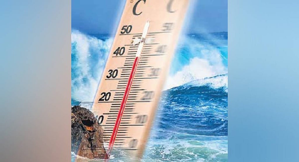Sea surface warming four times faster now than in 1980s