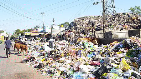 Hyderabad needs many dumps for garbage crisis