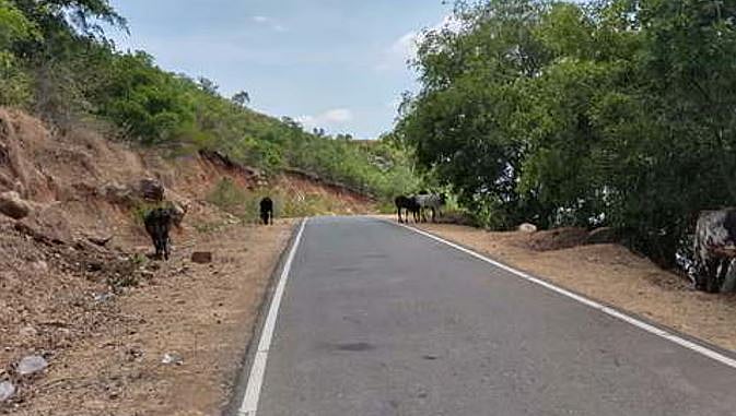 Komberi residents urge authorities to construct 1.5km road connecting ...
