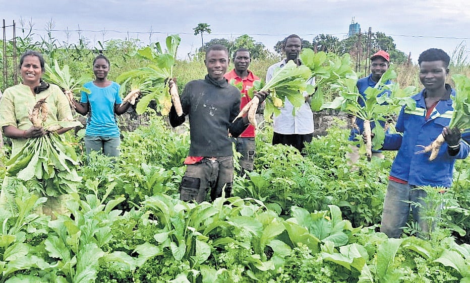 Andhra’s natural farming pilot project gains traction in Zambia