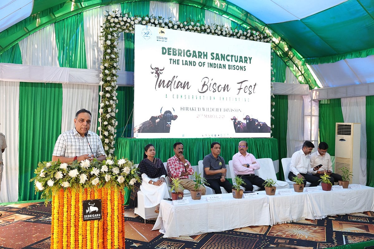 First Indian bison fest pledges to establish Odisha's Debrigarh as top ...