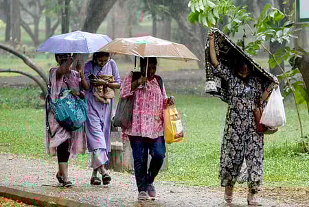 India unveils high-resolution weather forecasting model, will aid ...