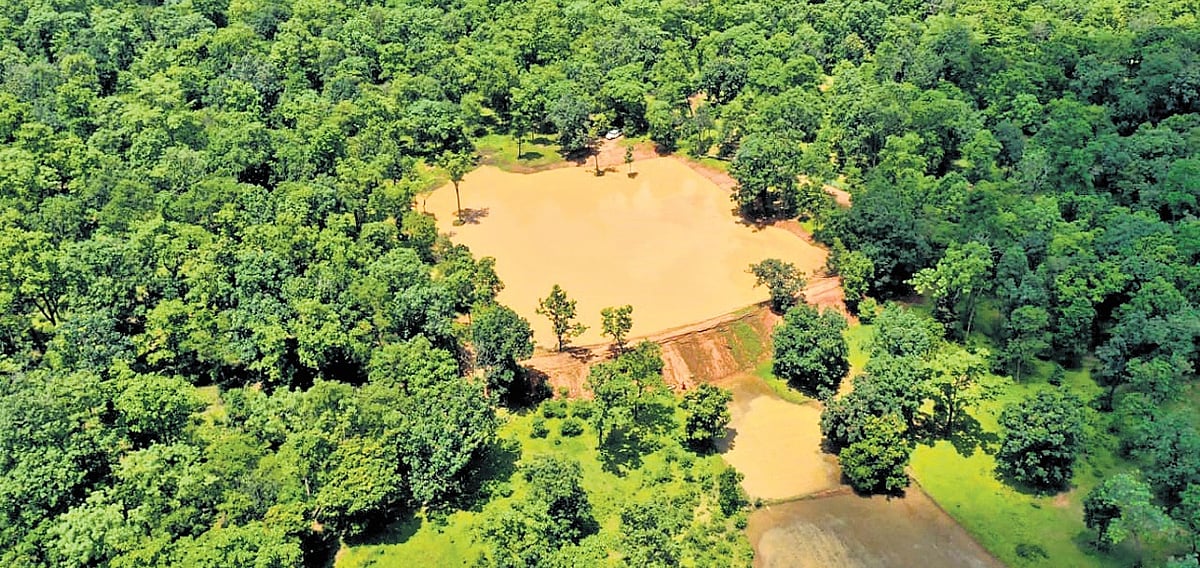 Greener side of Bastar as forest cover increases