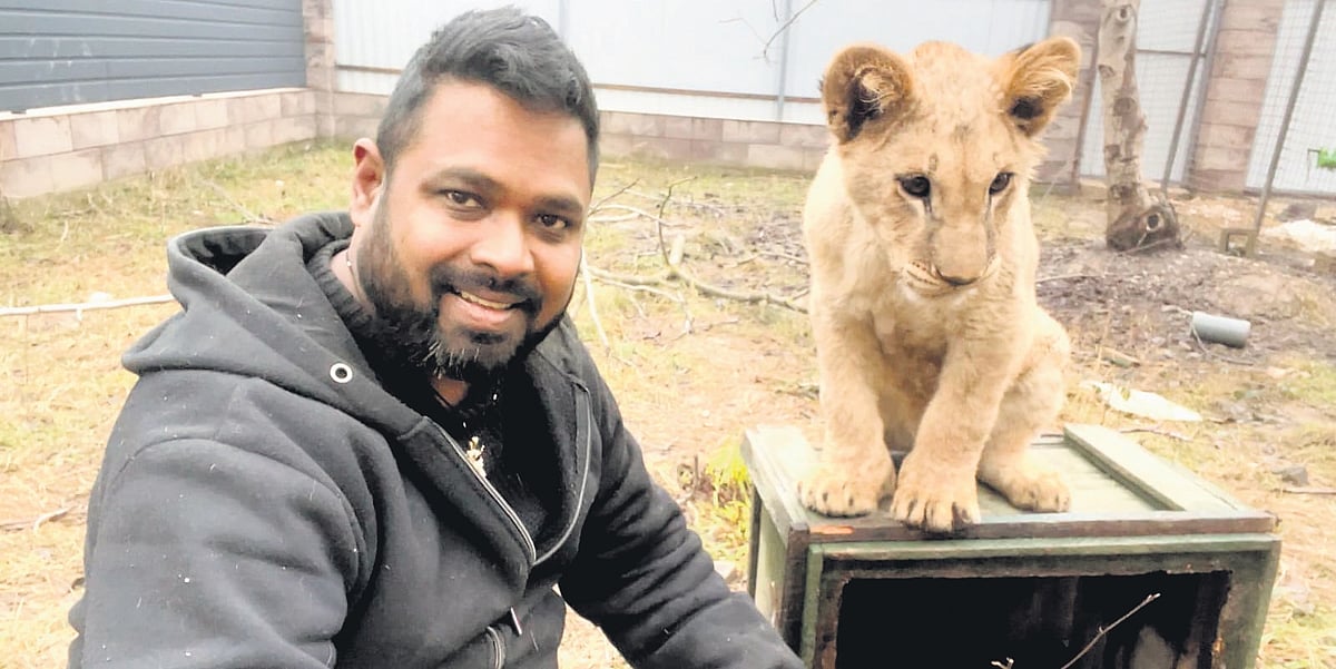 After big cats, Jaguar Kumar adopts lion cubs