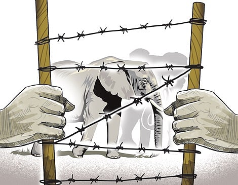 Human-elephant conflict: Karnataka forest department trying out-of-box ...