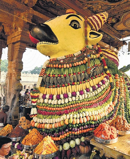 ‘Maha Nandi’ decorated with 1 tonne of fruits in TN