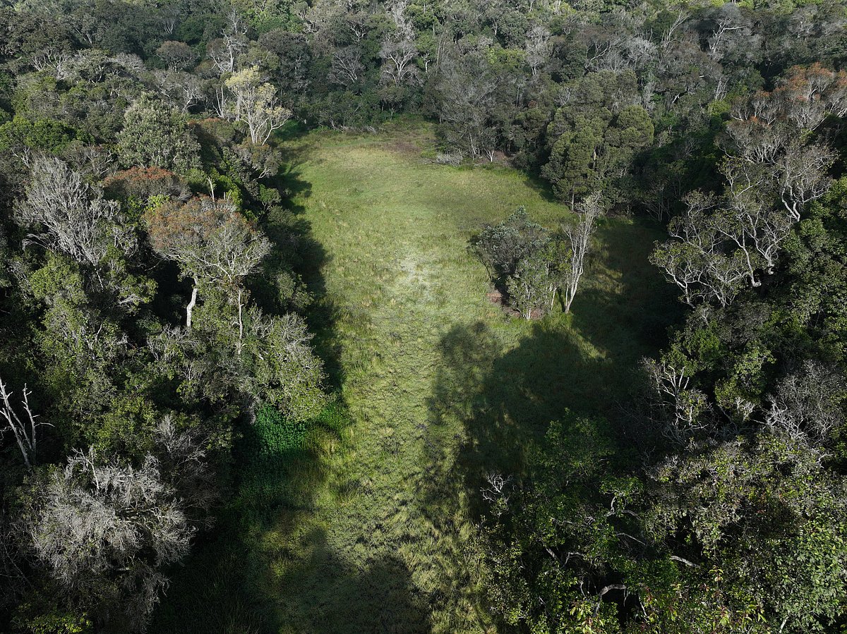 Longwood Shola, Karaivetti sanctuary in Tamil Nadu recognised as Ramsar ...