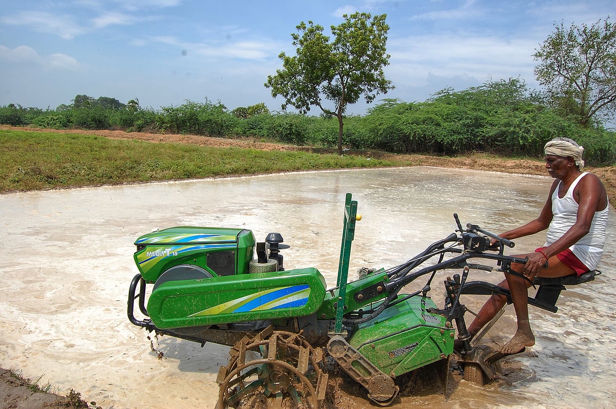 Climate impacts yield gap between organic, conventional farming: new study