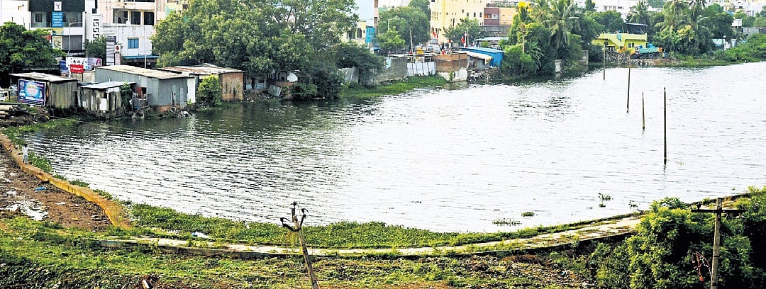 NGT seeks report on encroachment of waterbodies, river poramboke in ...