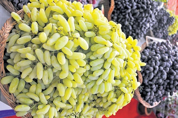 Karnataka Wine Board partners with IISc to study quality of grapes