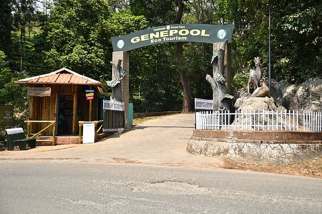 Tamil Nadu: New zipline ride to boost eco-tourism in Nadugani