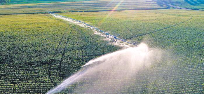 Aquifer depletion threatens crop