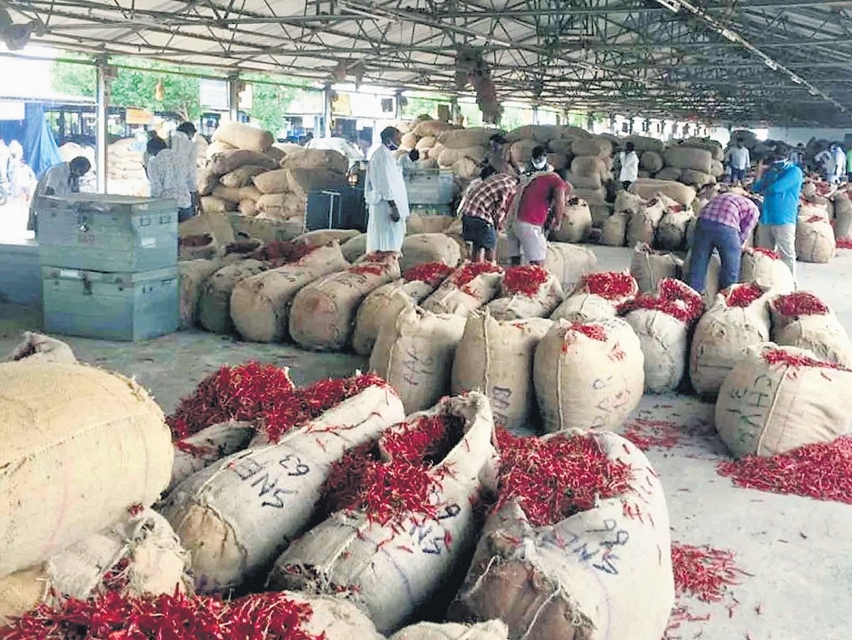 Guntur Chilli Market Yard to get a facelift with Rs 13 crore