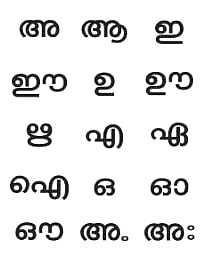 Literacy Mission’s ‘Pachcha Malayalam’ programme set for major ‘course ...