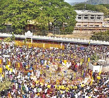 Telangana: All set for Sammakka-Sarakka Jatara
