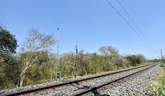 Drones to track animal movement on railway tracks in Coimbatore's ...