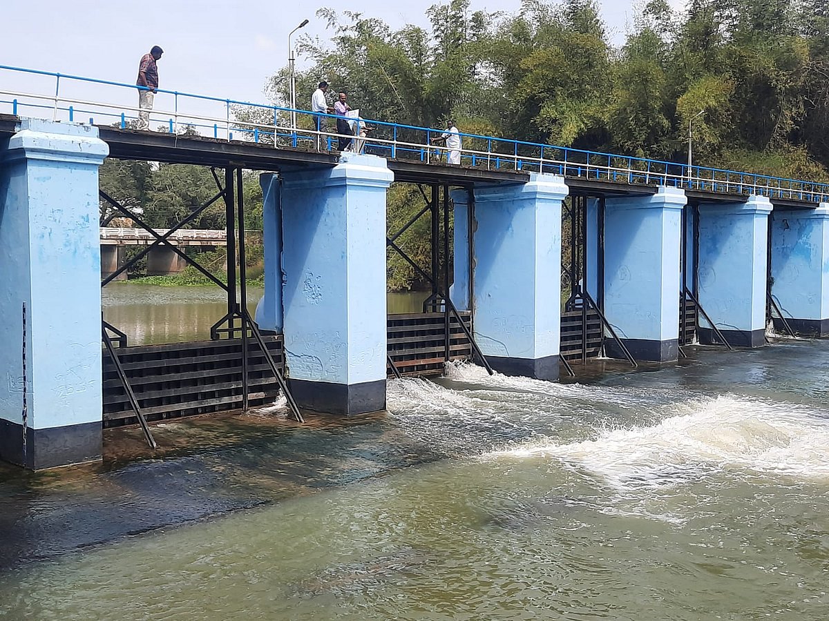 Cauvery water reaches Nagapattinam, farmers demand to prioritise ...