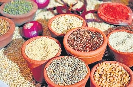 Andhra Pradesh: Kadapa district sees 2x increase in cultivation of millets