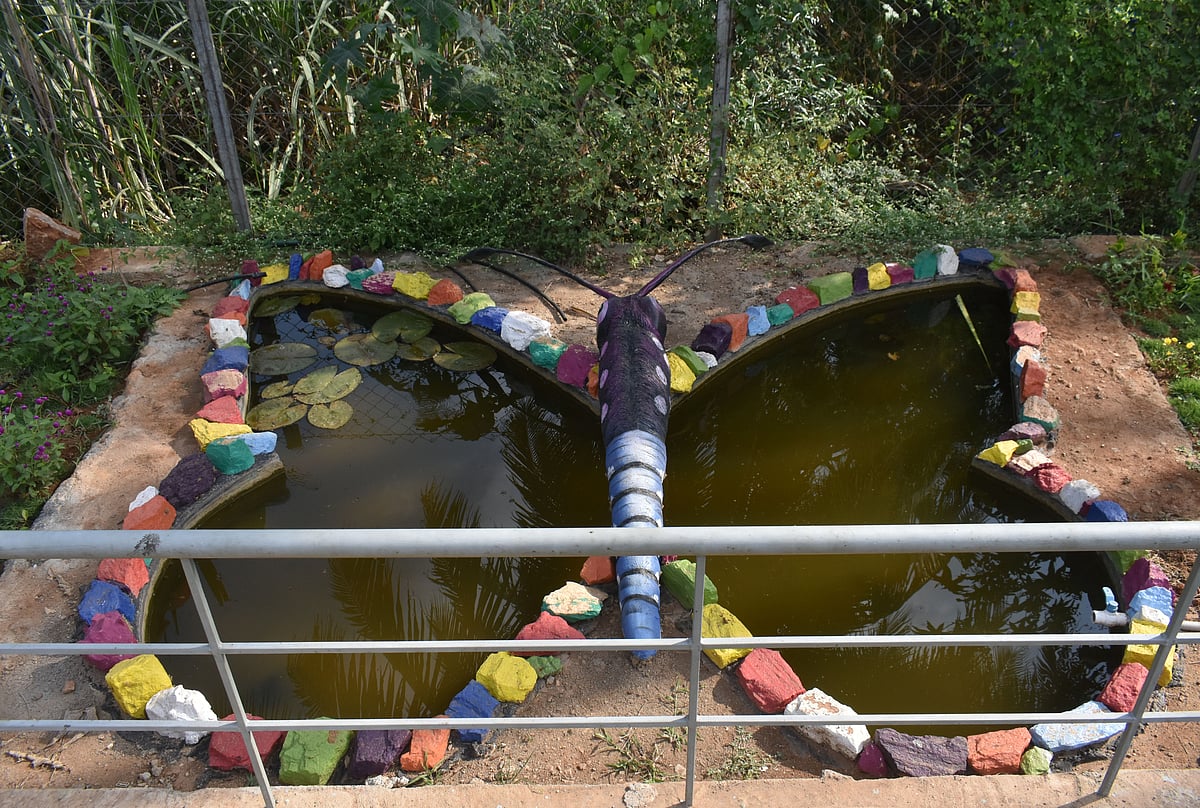 Butterfly Park a haven for winged visitors, nature lovers in Coimbatore