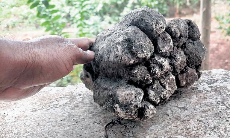 Miniature columnar Basalt rocks found in Adilabad