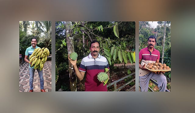 Wayanad's cop cultivates global exotic fruits, champions organic farming